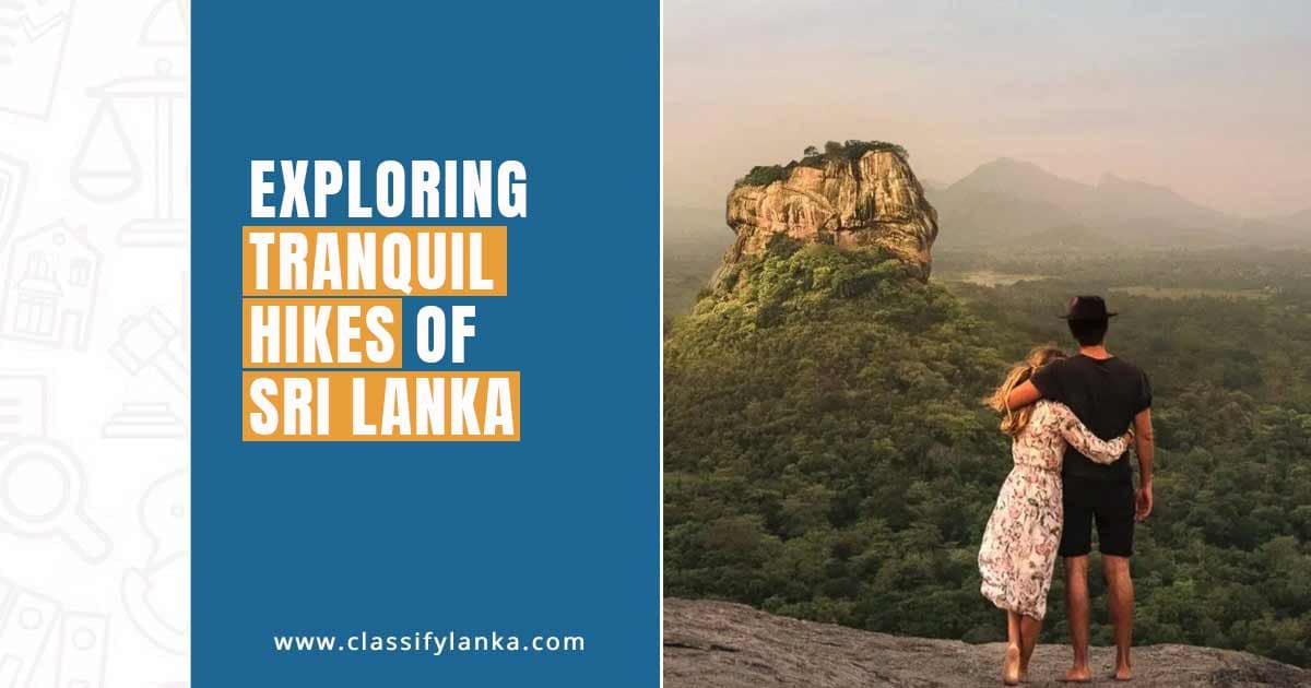 Roaming in Hidden Gems: Exploring Tranquil Hikes of Sri Lanka