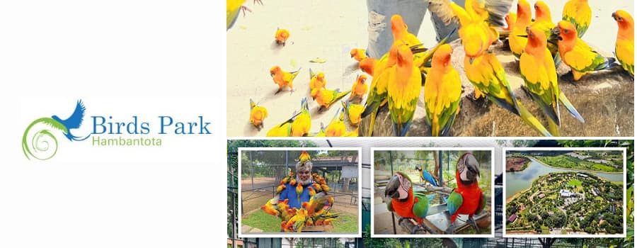 Comprehensive guide on Hambantota Birds Park - South Asia's Largest ...